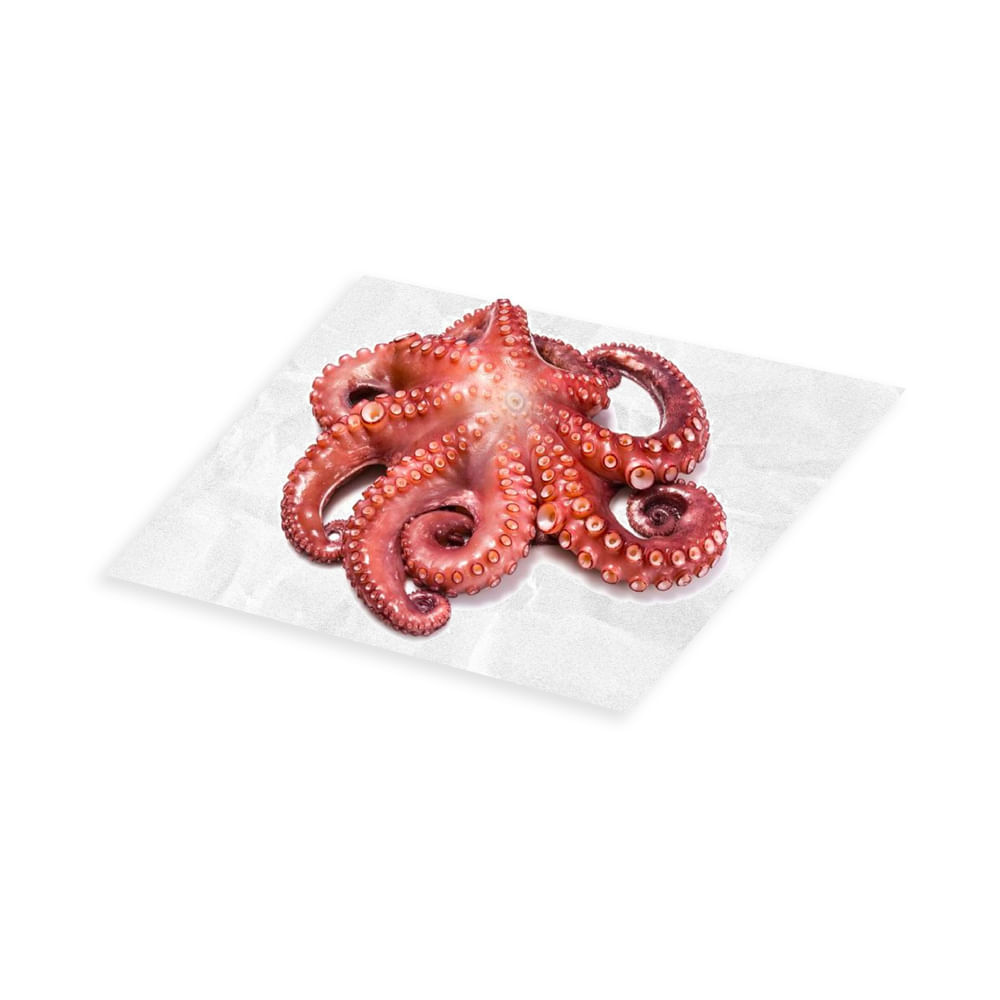 POLVO EVISC PESCAMAR 1 UNIDADE 1100G - redemix