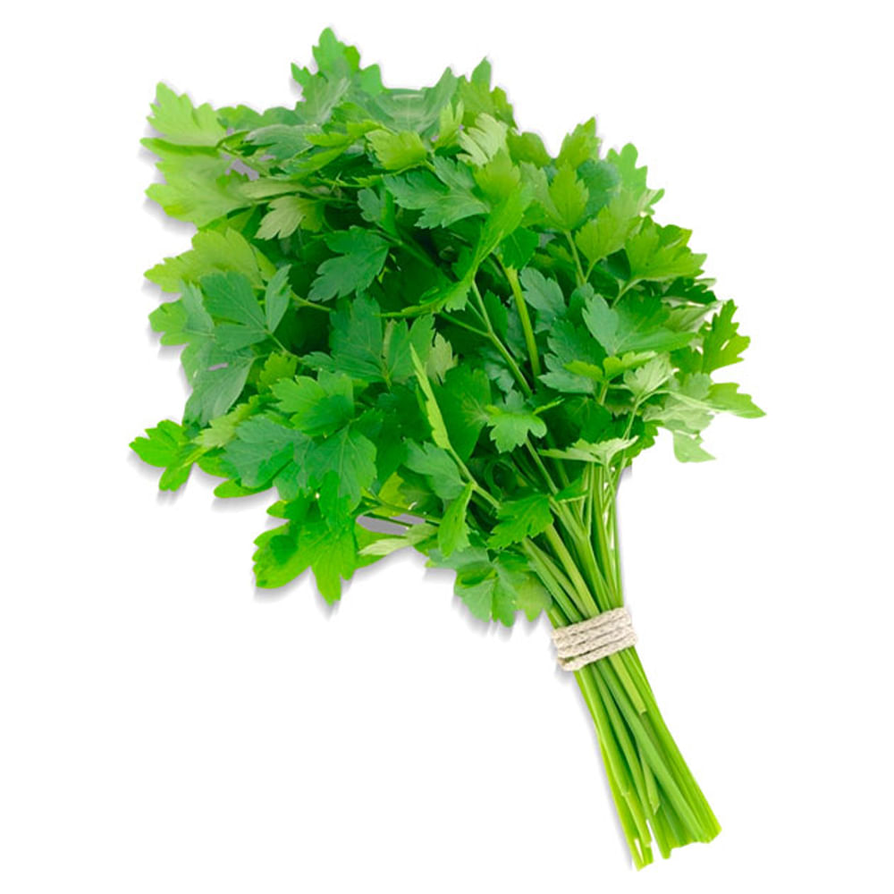 COENTRO ORGÂNICO UNIDADE - redemix